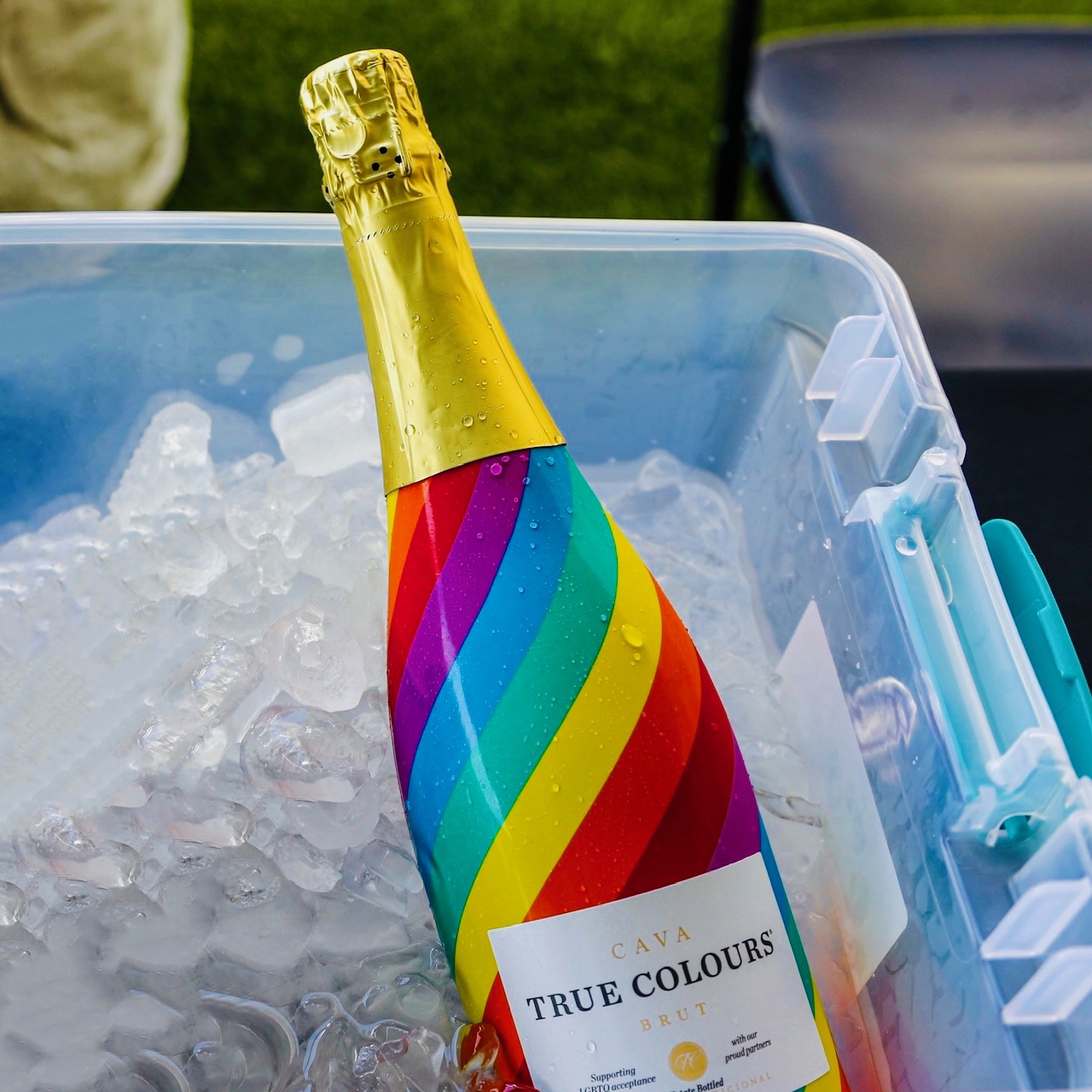 Try True Colours Cava: A Deliciously Sparkling Brut with a Social Cause ...